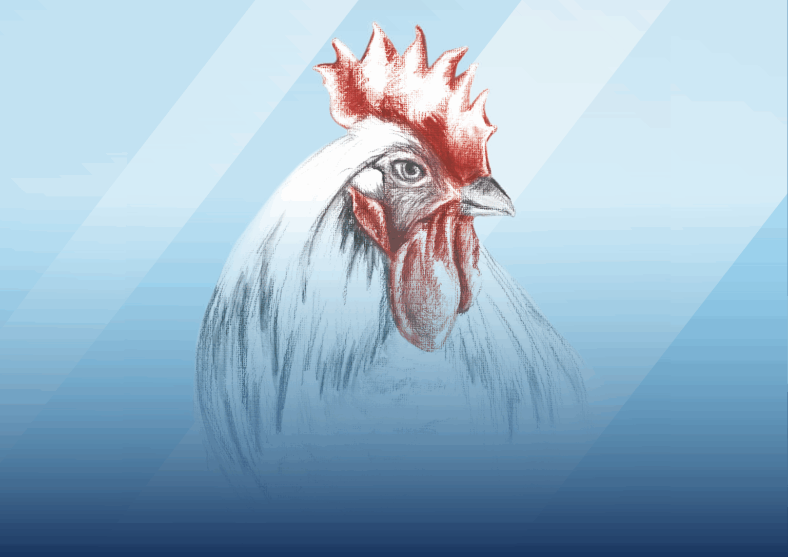 Astral Foods - The largest integrated poultry producer in South Africa.
